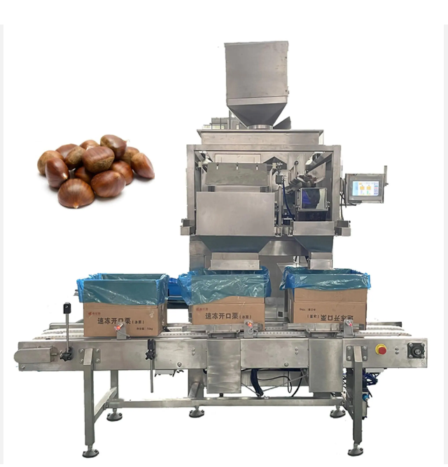 China 1kg 2kg 3kg 5kg Grains/Nuts Cartons Box Packing Machine Two Head ...